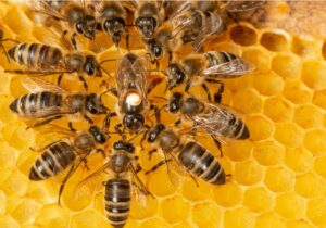 Homepage - Digital Agency